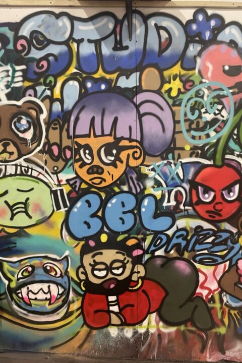 Street art og graffiti. - Tine Grauslund - Kunstmaler og billedmager